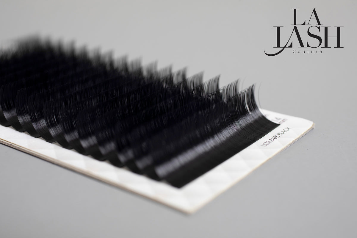 Volume Lashes 0.05 CC Curl EYELASH SUPPLIES – La Lash